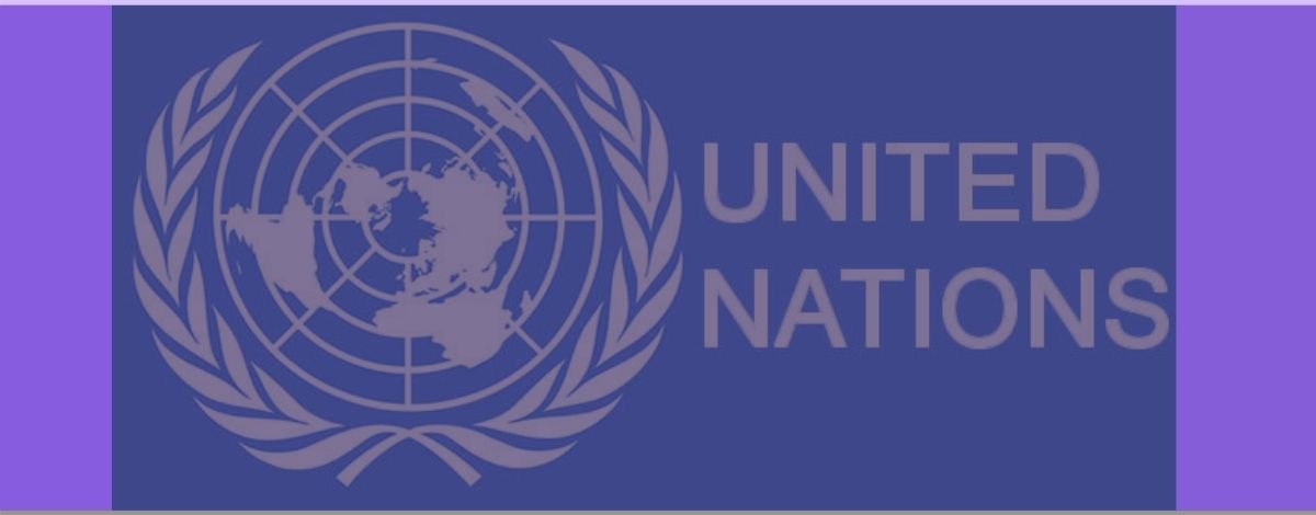 The United Nations branches & other organization - Bloggjhedu