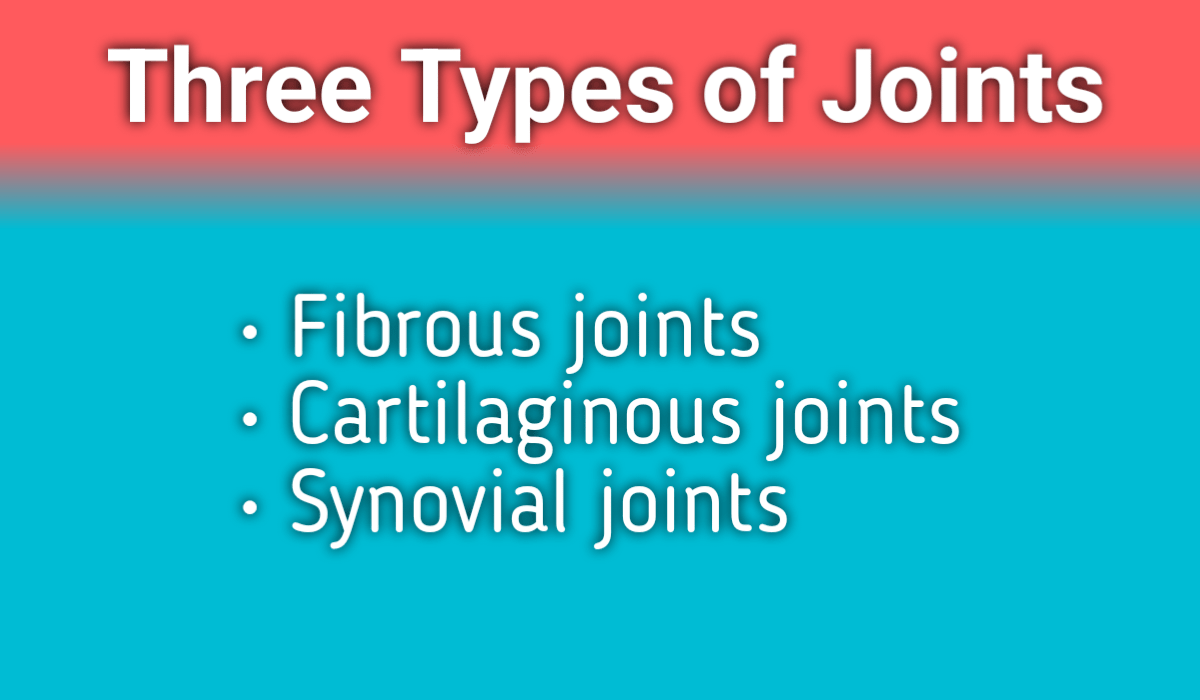 How many types of Joints - Bloggjhedu